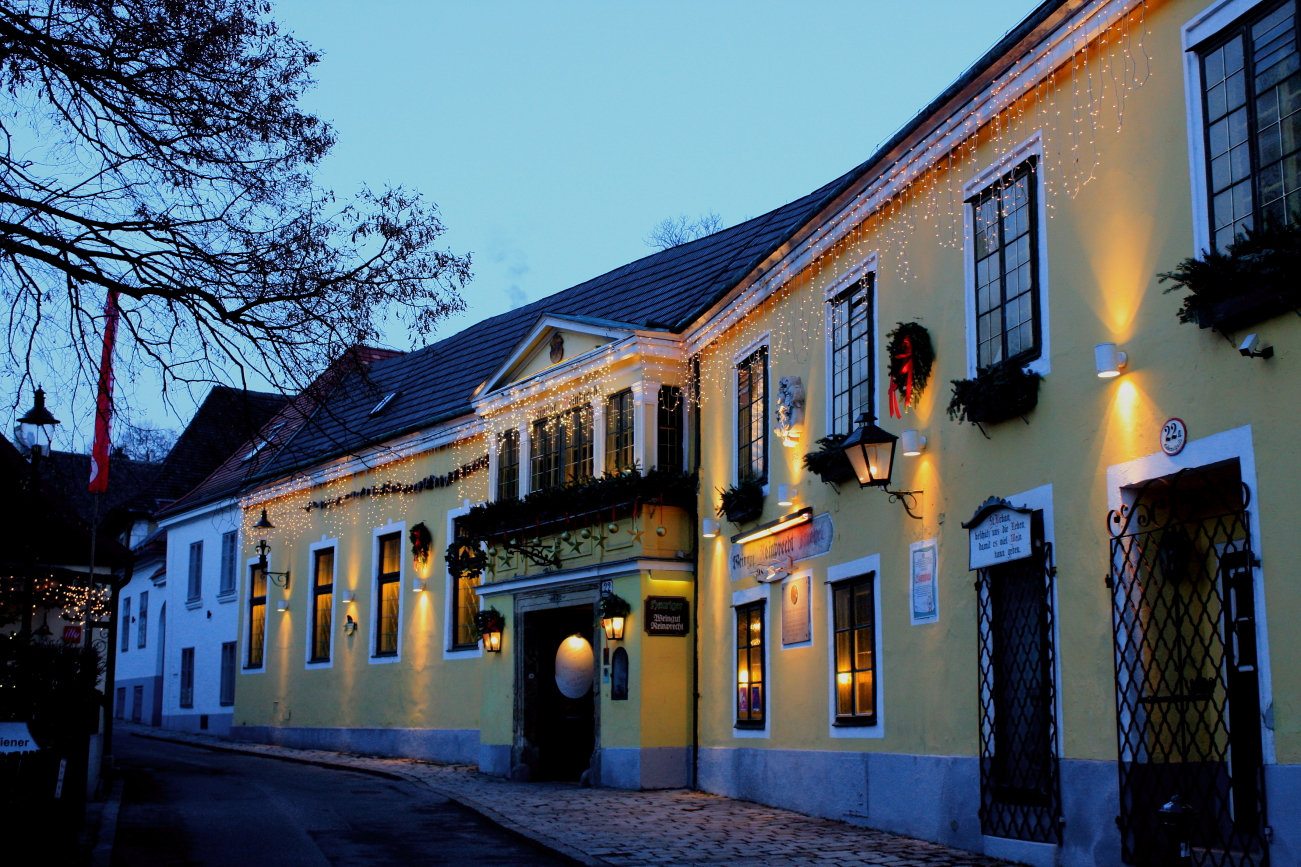 Grinzing e Kahlenberg – FOTOGRAFIE ED APPUNTI DI VIAGGIO